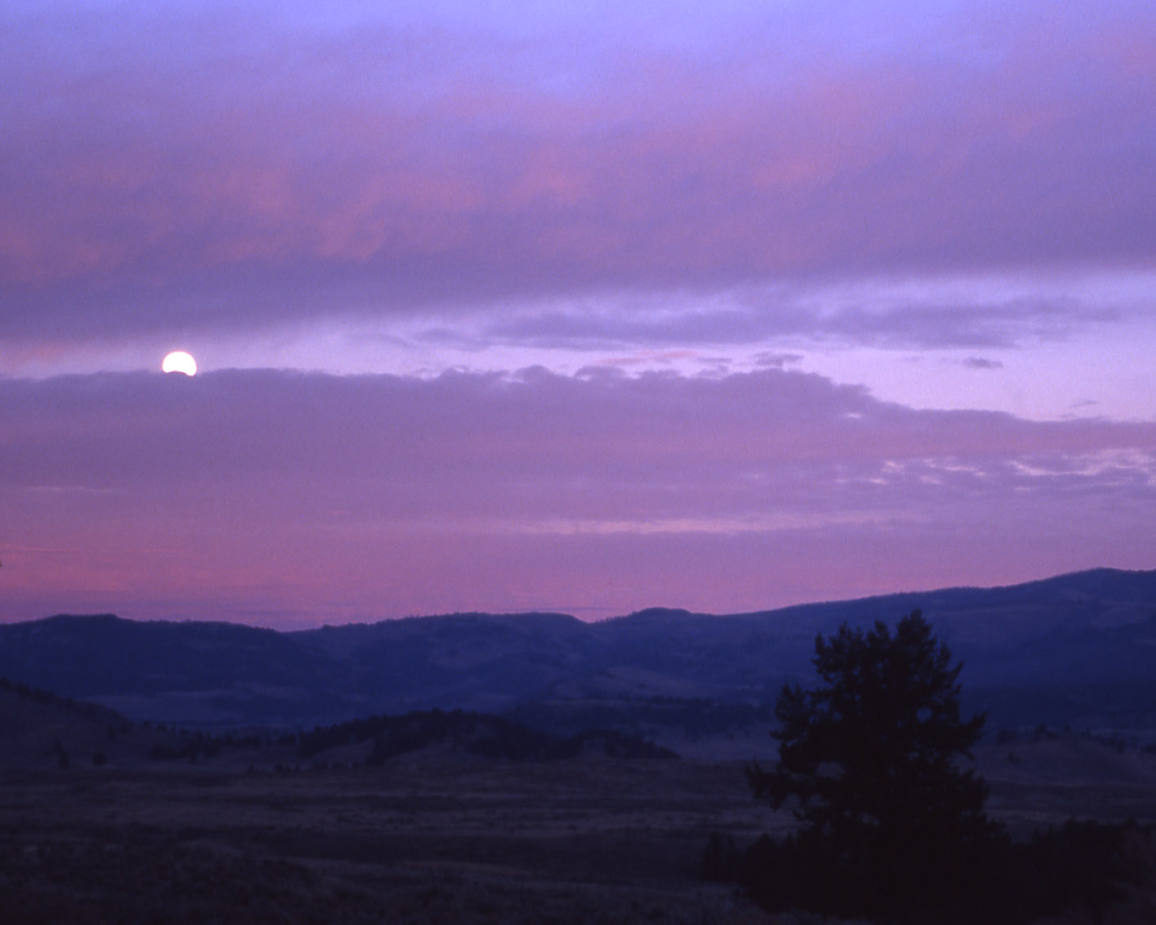 Purple Sunset With Moon Rising Background Image, Wallpaper or Texture ...