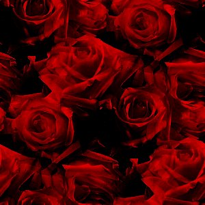Twitter Backgrounds Roses