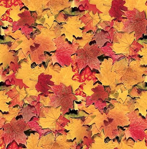 Seamless Maple Leaves Background Image, Wallpaper or Texture free for ...